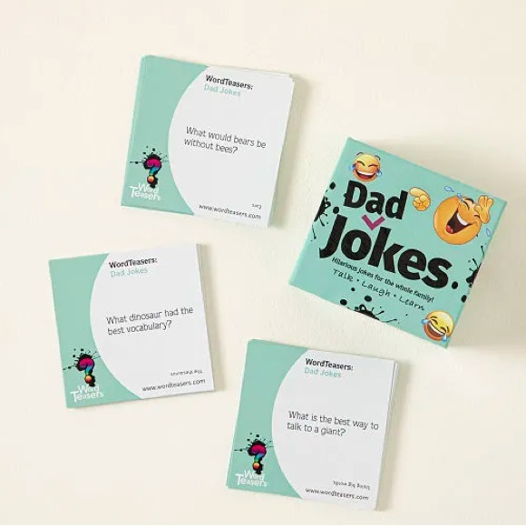 Word Teasers | Games | Word Teasers Dad Jokes Family Card Game New ...